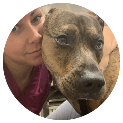 K9 Gentle Dental Teeth Cleaning | Anesthesia-free canine dental Cleanings